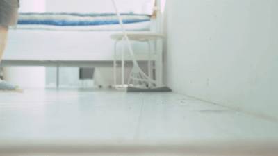 The Original Broombi